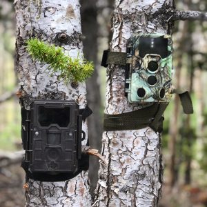 Trail Camera Placement & Location – Territory Film